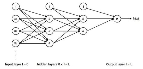 feed forward neural network structure download scientific diagram