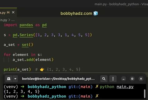 How To Create A Set From A Series In Pandas Ways Bobbyhadz