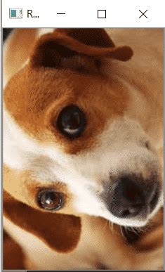 A Guide To Learn OpenCV In Python AI Smart Site