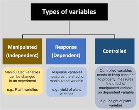 manipulated response and control variables [definition and research example]