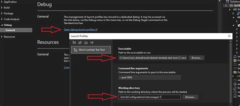 C Visual Studio Debug Executable Specified In The Debug Profile
