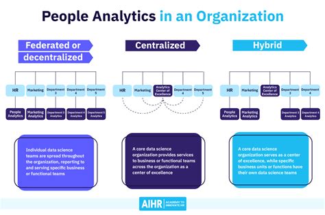 Building Your People Analytics Team 6 Tips For Success AIHR