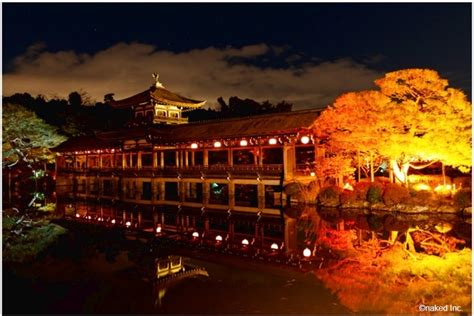 Kyoto 2024 NAKED Garden Of Light Heian Shrine LIVE JAPAN