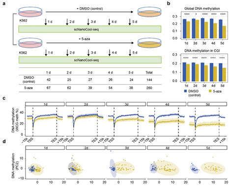 Cell Research ScNanoCOOL Seq A Long Read Single Cell Sequencing