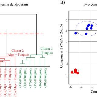 Graphical Presentation Of Multivariate Unsupervised Data Analysis A