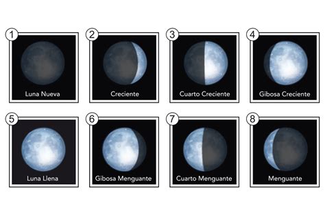 Fases De La Luna Calendario