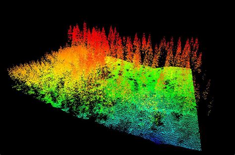 individual tree crown segmentation based on lidar canopy height model my xxx hot girl