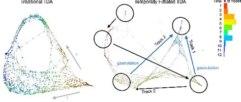 figure 6 from single cell topological simplicial analysis reveals higher order cellular