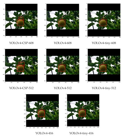 sensors free full text real time pear fruit detection and counting using yolov4 models and