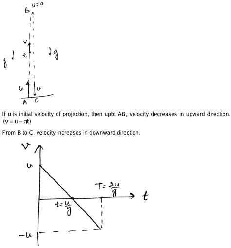a ball is thrown upwards draw its velocity time graph