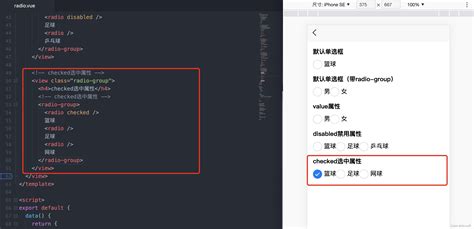《uni app》表单组件 radio单选框组件 uniapp radio csdn博客