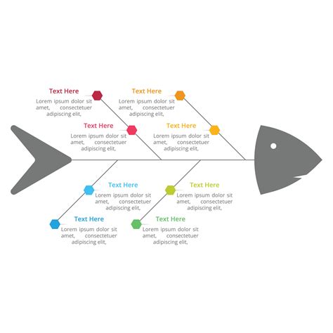 Fishbone Infographic Vector Design With Colorful Text Sections