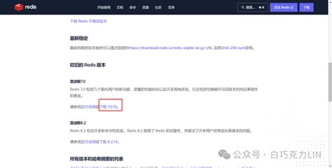 redis教程——redis入门 极客之音