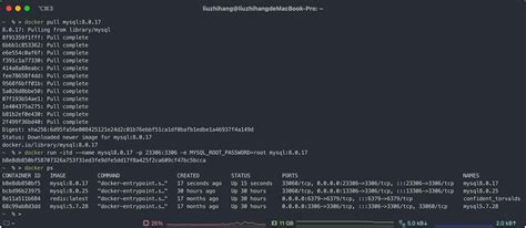 使用 docker 安装并连接 mysql csdn博客