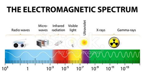 The Electromagnetic Spectrum Vector Diagram Stock Clipart Royalty