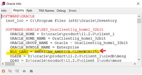 Plsqldeveloper Oracle Pl Sql Developer Doesn T Support Cyrillic