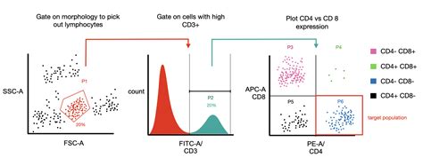 Understanding Flow Cytometry The Coding Biologist