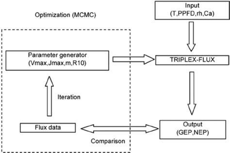 schematic diagram of the model data assimilation approach used to download scientific diagram