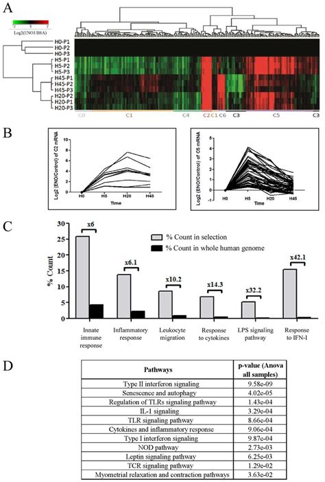 Identification Of Differential Gene Expression Profiling Relative To