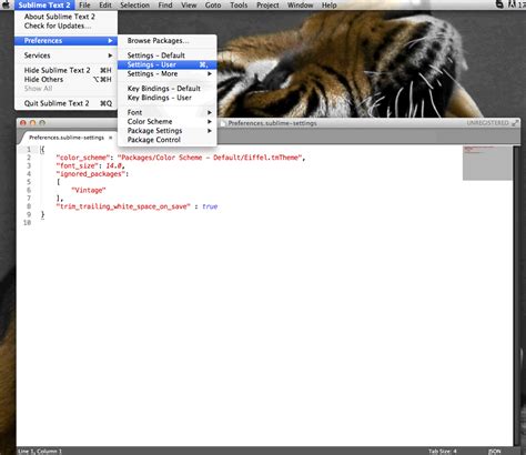 How To Trim Or Delete Trailing White Spaces Automatically On Save In
