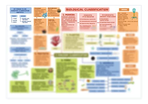 SOLUTION Biological Classification Mind Map Studypool