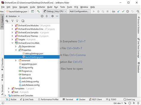 Using Net Core Launchsettings Json To Run Debug Apps In Rider The