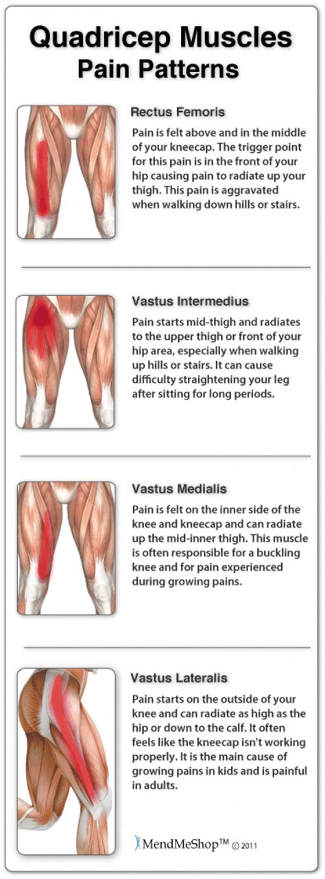 Why Are My Thighs And Bum Aching At Joe Bergerson Blog