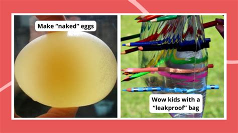 Magic Milk Experiment How To Plus Free Worksheet We Are Teachers