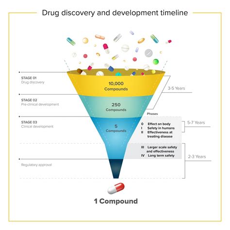 Drug Development Process Timeline