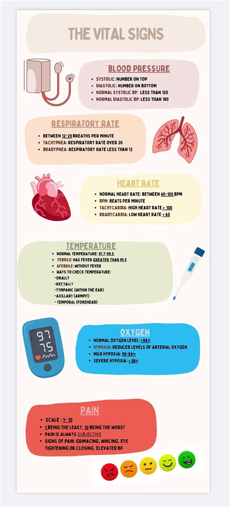 Vital Signs Cheat Sheet Etsy