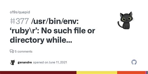 Usr Bin Env Ruby R No Such File Or Directory While Executing Bin