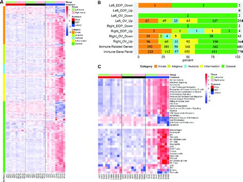 Differentially Expressed Immune Signatures In Bilateral Tumors A The