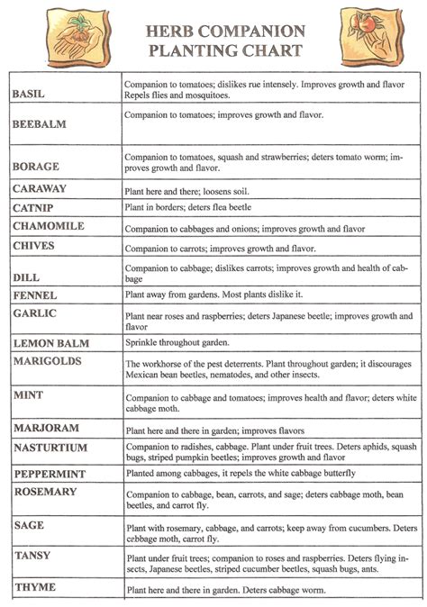 Printable Herb Companion Planting Chart Printable Word Searches