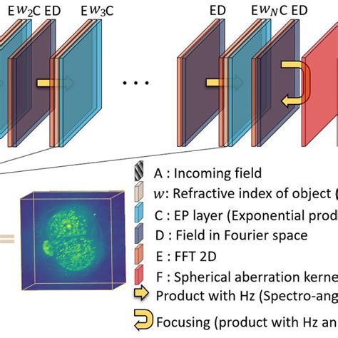 schematic of the diffractive deep neural network download scientific diagram