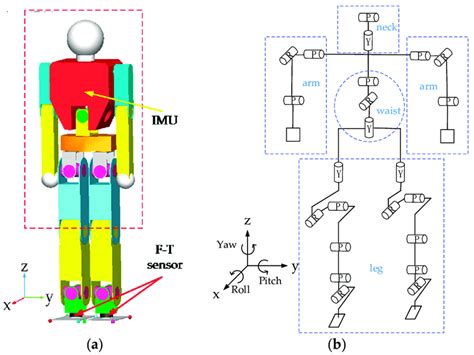 typical motor driven humanoid robot they always have an inertial download scientific diagram