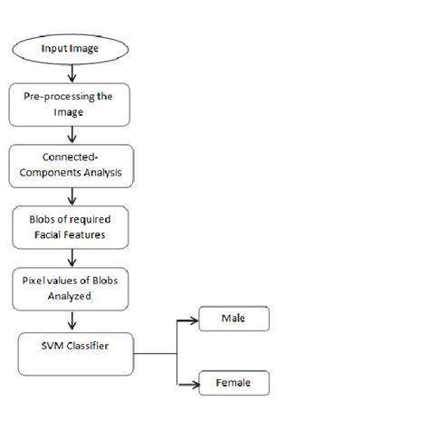 flowchart for gender detection download scientific diagram