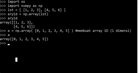 belajar it python numpy introduction