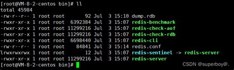 linux安装redis6 0，超详细说明与图解！！ redis6 0安装 csdn博客