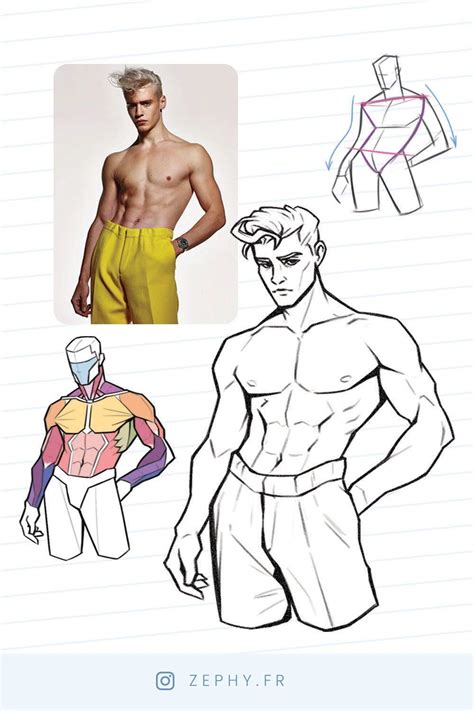 Character Drawing Study Lines And Anatomy In 2024 Human Anatomy