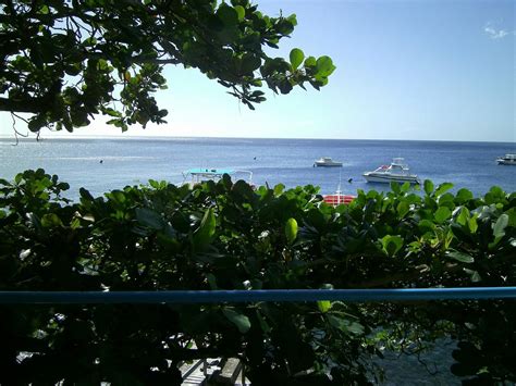 Castle Comfort Diving Lodgedive Dominica All You Need To Know Before You Go 2024