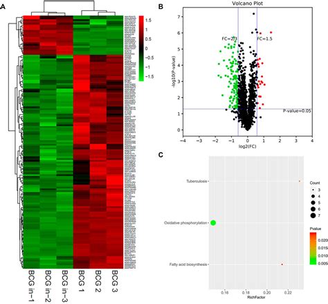 Frontiers Comparative Analysis On Proteomics Profiles Of
