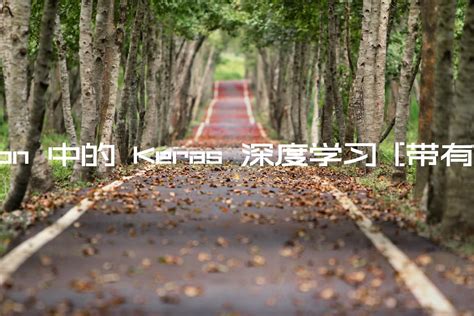 python 中的 keras 深度学习 [带有示例] 码微