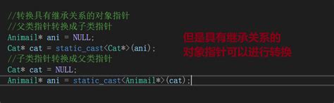 stl教程3 类型转换static cast、dynamic cast、const cast、reinterpret cast方法 dynamic const 指针 转换 csdn博客