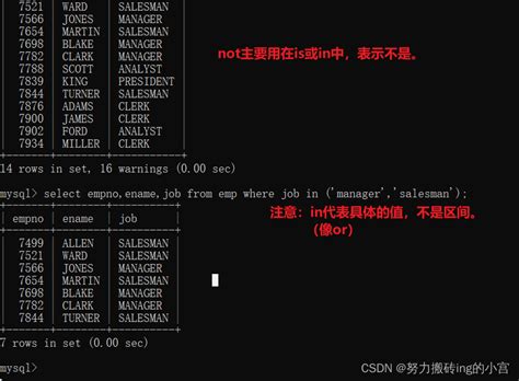 mysql学习记录 csdn博客