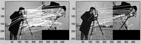 rotation invariant feature lines transform for image matching