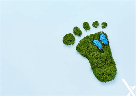 7 Tips To Reduce Your Ecological Footprint Flexfurn