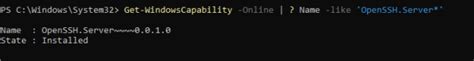 How To Use SSH To Remotely Connect To Windows 10 Or 11 TheITBros