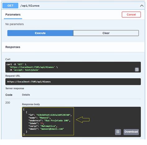 ASP NET Core Web API MongoDB No Net 6 III