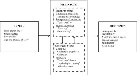 New Venture Team NVT Input Mediators Outcome IMO Framework A