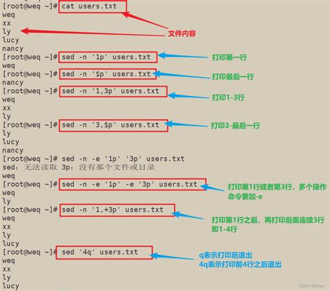 shell文本处理三剑客之——sed编辑器 shell 编辑文本 csdn博客